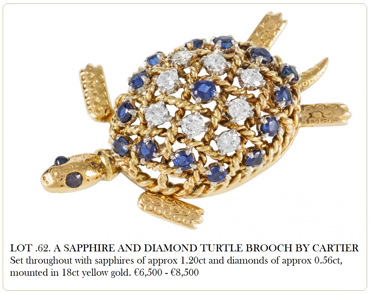 Turtle | Collect Ireland